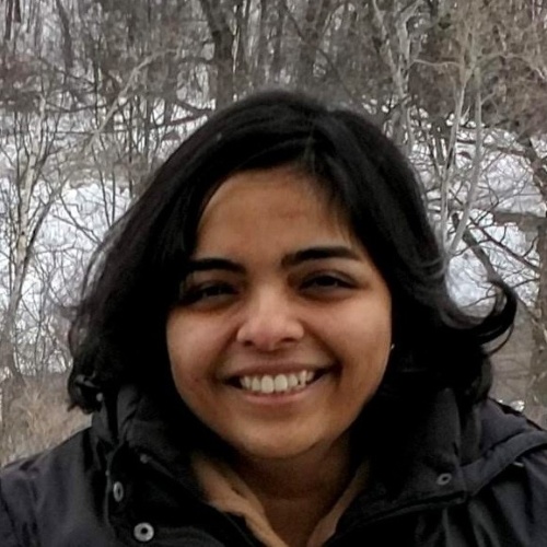 Current board – IAUC